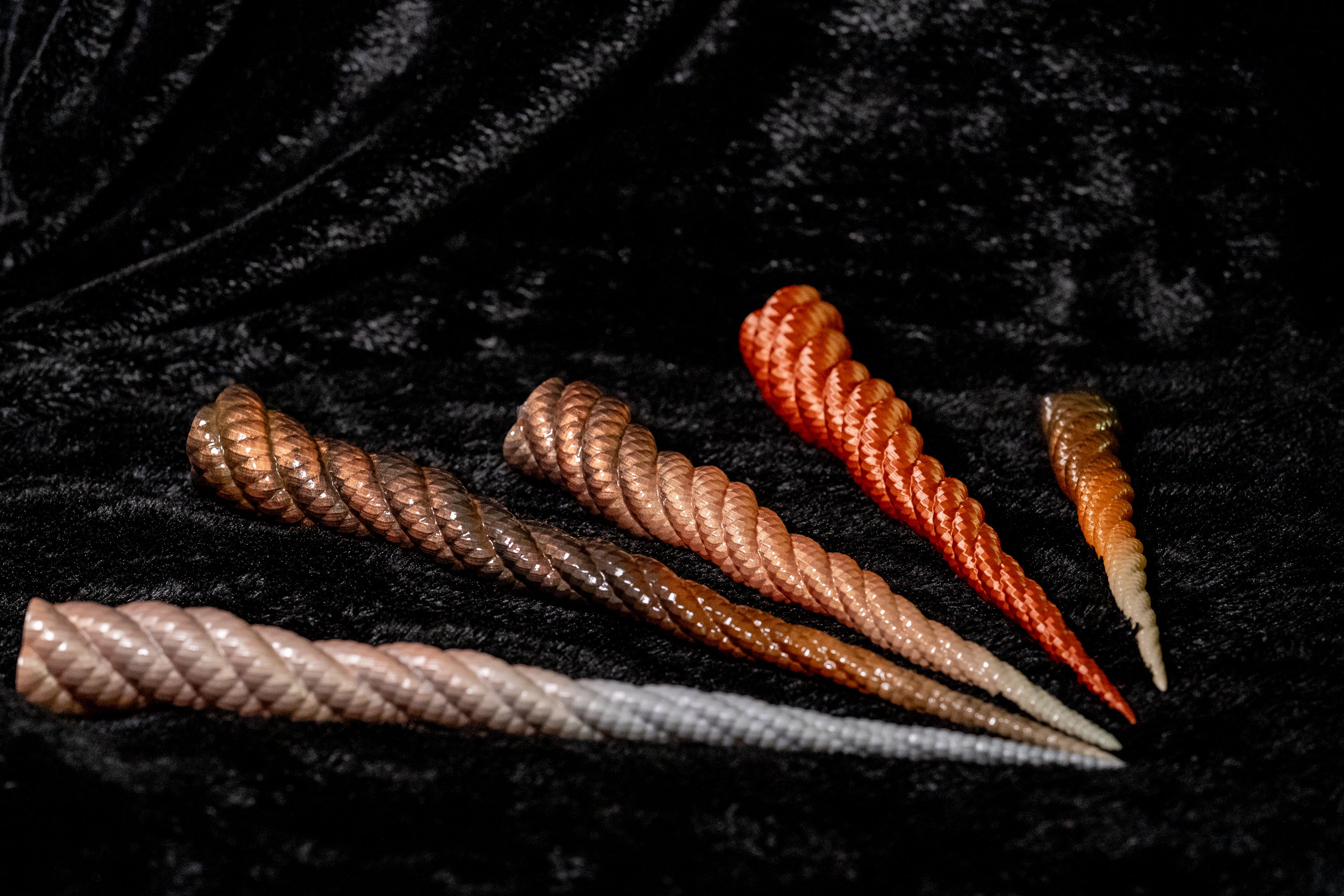 Standard Horns – Horns from Heaven